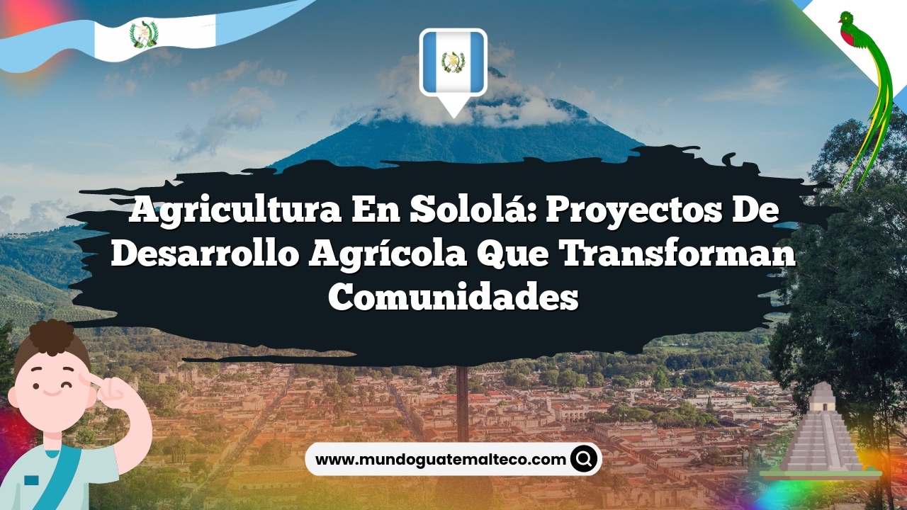 Agricultura en Sololá: Proyectos de desarrollo agrícola que transforman comunidades
